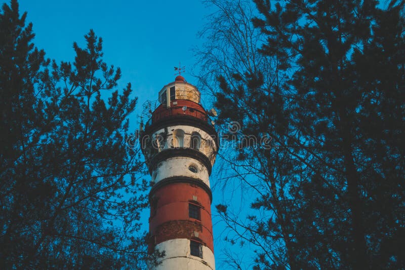 Lighthouse in the Forest between the Trees. Red and White Lighthouse ...