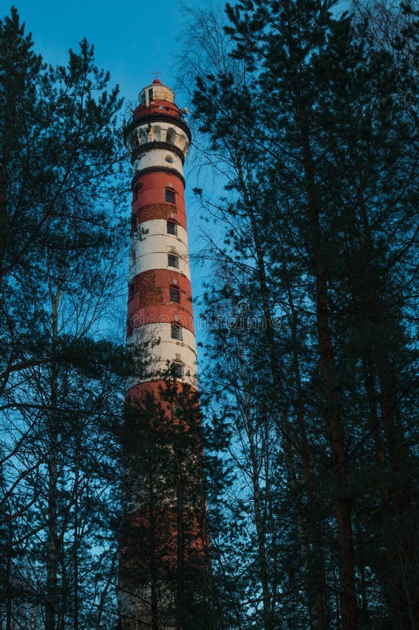 Lighthouse in the Forest between the Trees. Red and White Lighthouse ...