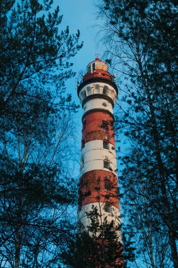 Lighthouse in the Forest between the Trees. Red and White Lighthouse ...