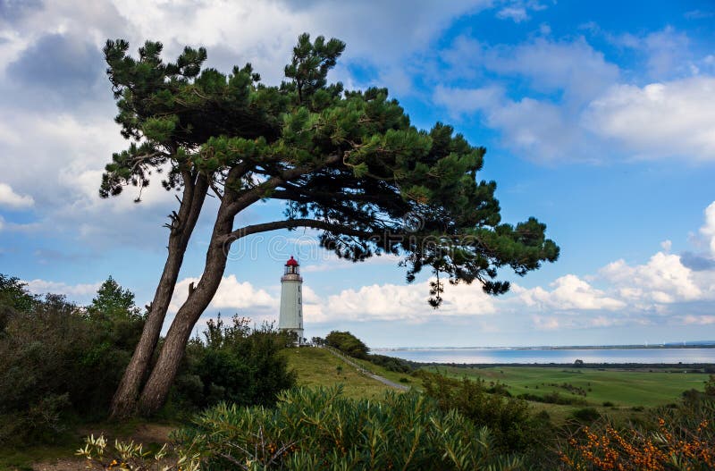 Lighthouse on the Island Hiddensee, Germany Stock Photo - Image of ...