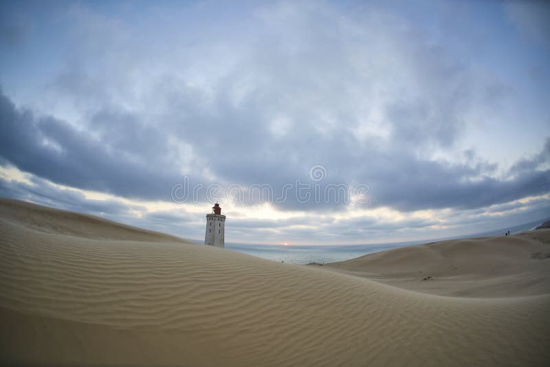 The Large Sand Plover is a Species of Bird from the Family Charadriidae ...