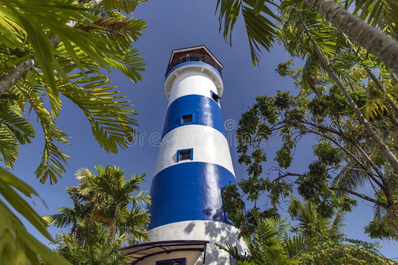 A Lighthouse in the Middle of the Jungle Stock Photo - Image of list ...