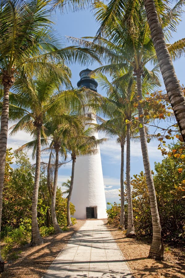 4,300 Lighthouse Palm Trees Stock Photos - Free & Royalty-Free Stock ...
