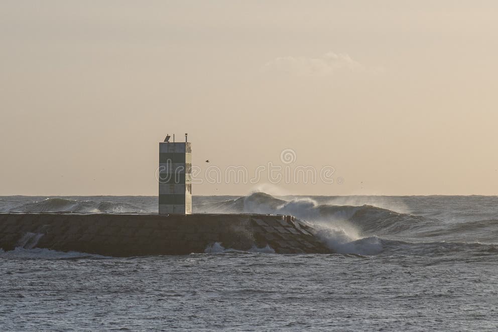 Massive Ocean Power Vs Lighthouse Stock Photo - Image of bigwave, bird ...