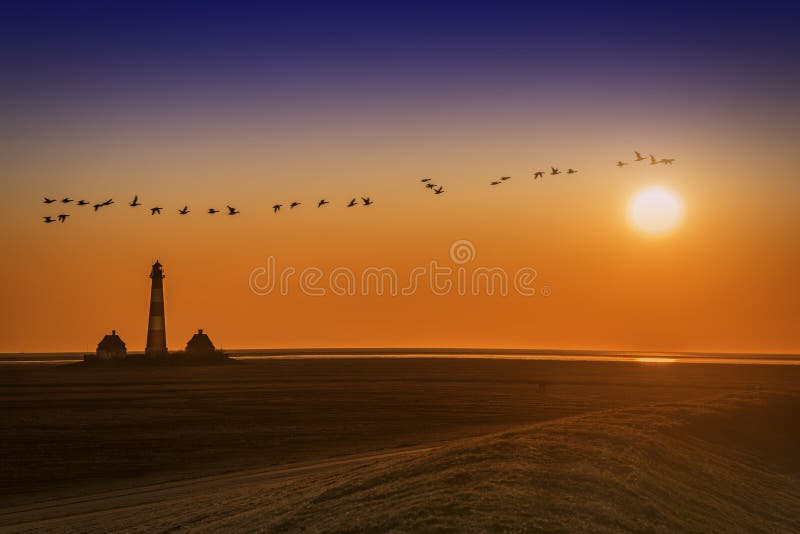 Lighthouse on Sunset with Birds Stock Image - Image of night, bright ...
