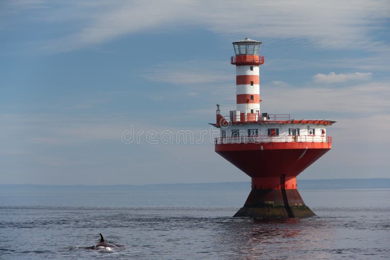 Lighthouse, Tower, Beacon, Sea Stock Photo - Image of tower, beacon ...