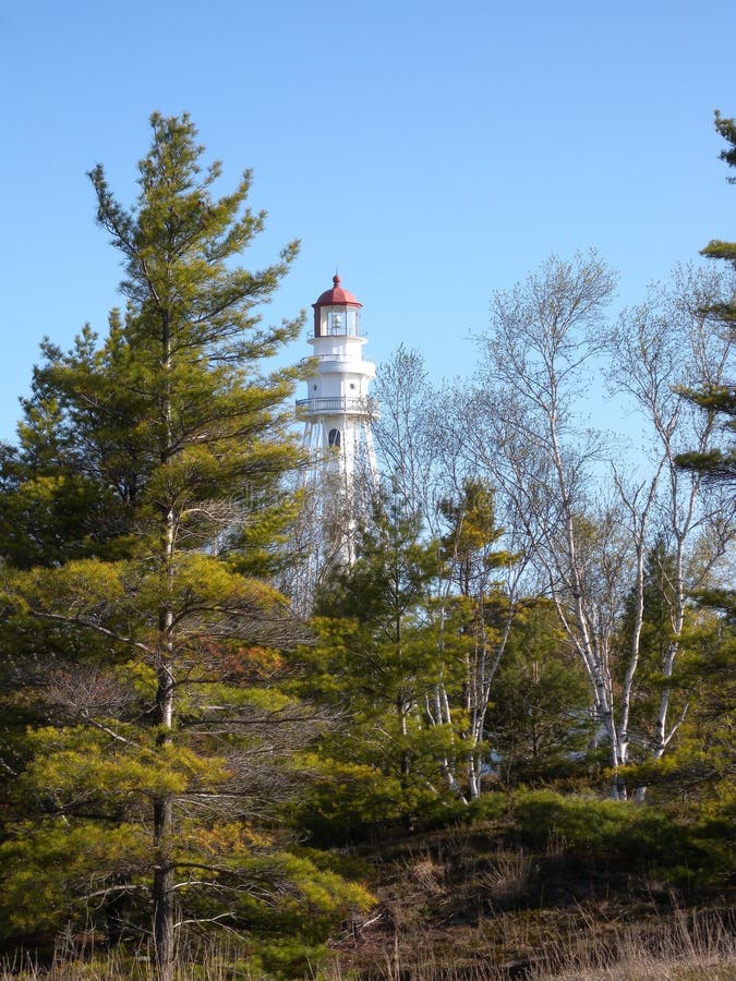 Lighthouse in the trees stock photo. Image of trees, forest - 50444682