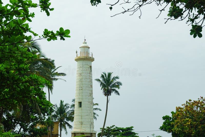 Lighthouse of White Color among Tropical Plants Stock Photo - Image of ...