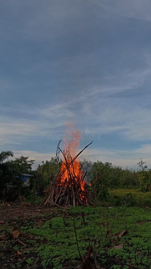 Lighting a Bonfire in the Evening in the Garden Stock Photo - Image of ...