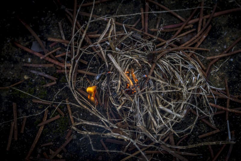 Lighting a bonfire stock image. Image of happy, cheerful - 149789257