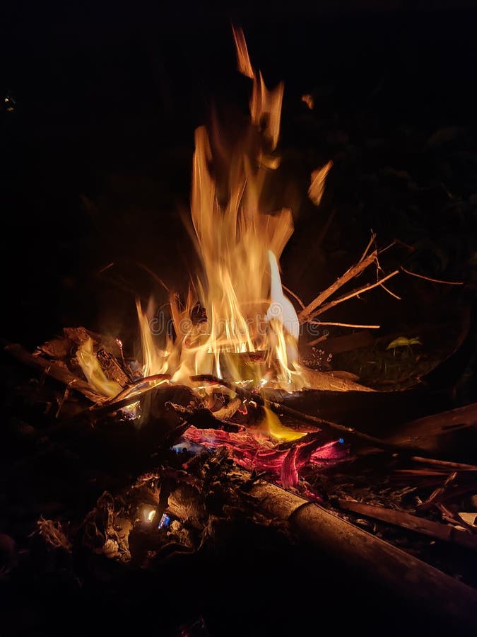 Lighting a Bonfire To Warm the Body Stock Image - Image of bonfire ...