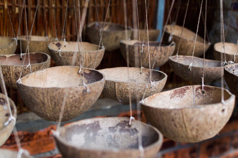 Lighting Candles or Capacities Made of Coconut Shells Stock Image ...