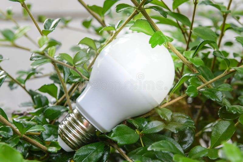 Lighting of LED bulb stock photo. Image of conceptual - 72983384