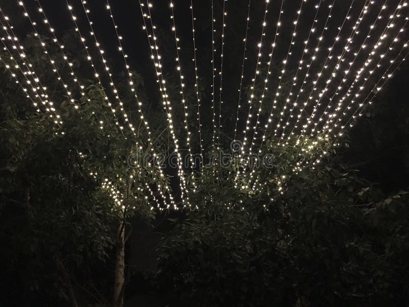 Lighting at Night Over Trees Stock Photo - Image of shine, city: 97810522