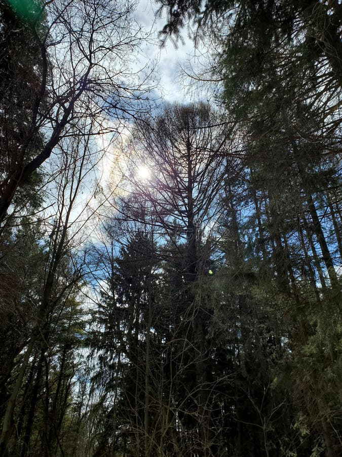 Lighting the Path Ahead stock photo. Image of ontario - 215692286