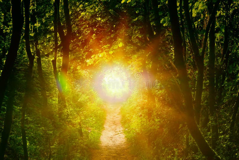 Lighting the way stock photo. Image of magical, manipulation - 149460092