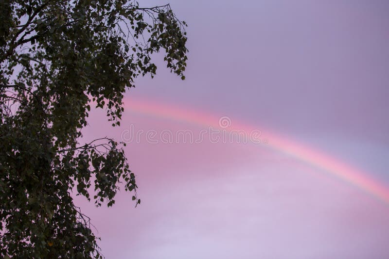 Lightly Colored Rainbow on a Purple Sky. Stock Photo - Image of ...