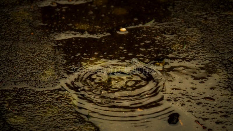 Lightly Dripping Rain Forming Circles on a Puddle of Water. Slowmotion ...