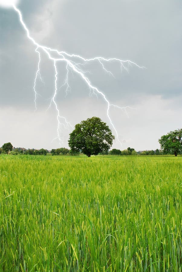 446 Earthquake Lightning Stock Photos - Free & Royalty-Free Stock ...