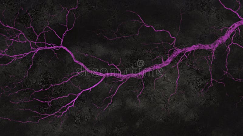 Lightning Branch Patterns Captured in Long Exposure Featuring Electric ...
