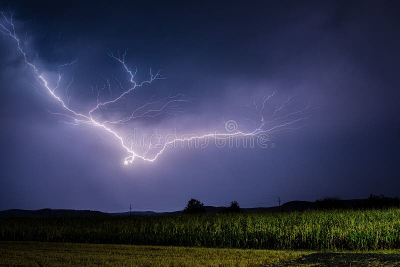 Branched Anvil Crawler Lightning Over a Corn Field Stock Image - Image ...