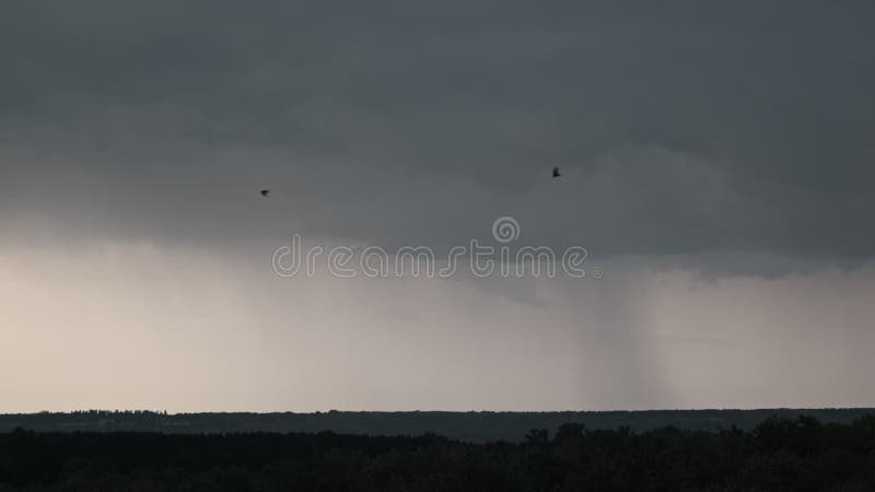 Lightning Flash in Dark Heavy Clouds Stock Footage - Video of bolt ...