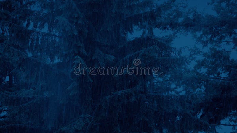 Lightning Flashes Behind the Trees in Rainstorm Stock Footage - Video ...