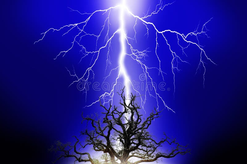 803 Lightning Bolt Tree Stock Photos - Free & Royalty-Free Stock Photos ...