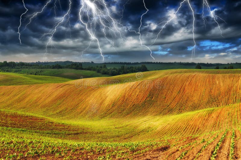 Lightning Over the Field. Evening Thunderstorm in a Hilly Field Stock ...