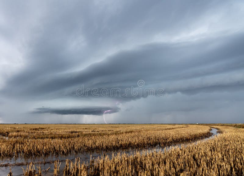 Lightning Over the Flooded Rice Fields, Valencia Stock Photo - Image of ...