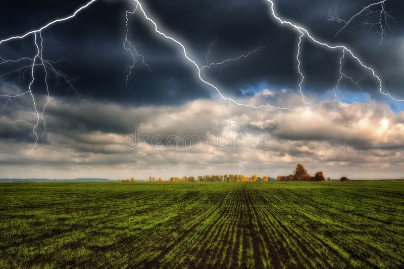 Lightning over the meadow stock image. Image of cyclone - 208189391