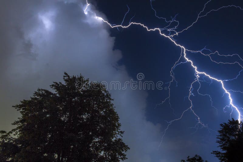 Lightning over the trees stock image. Image of lightning - 32443505
