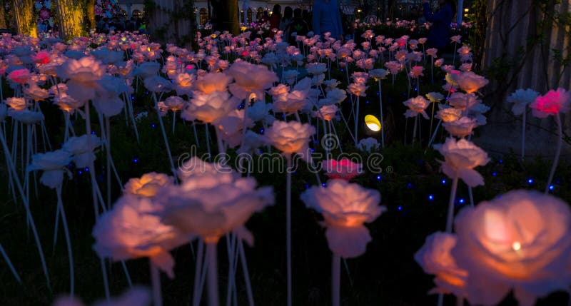 Lightning Roses editorial image. Image of lightning, seoul - 93598125