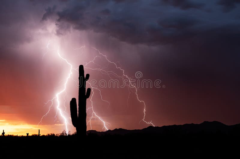 Lightning and Saguaro Cactus Silhouette at Sunset Stock Image - Image ...