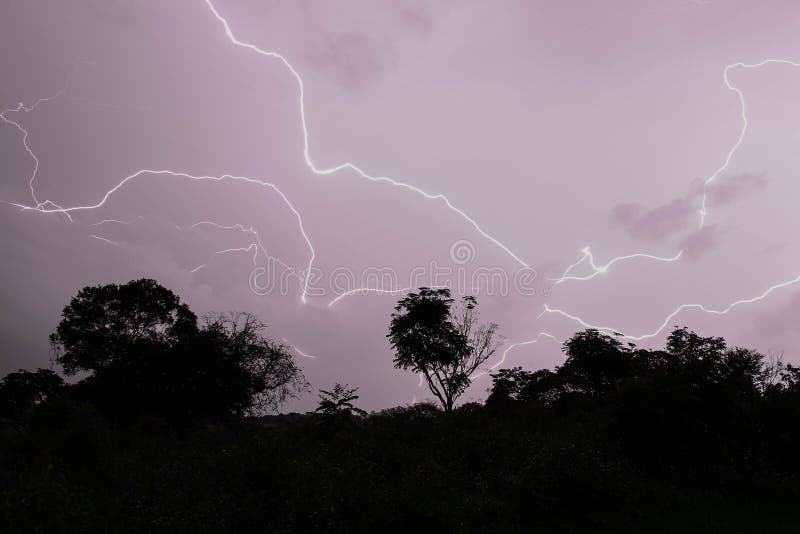 Lightning in a Slow Moving Thunderstorm Over Trees. Stock Photo - Image ...