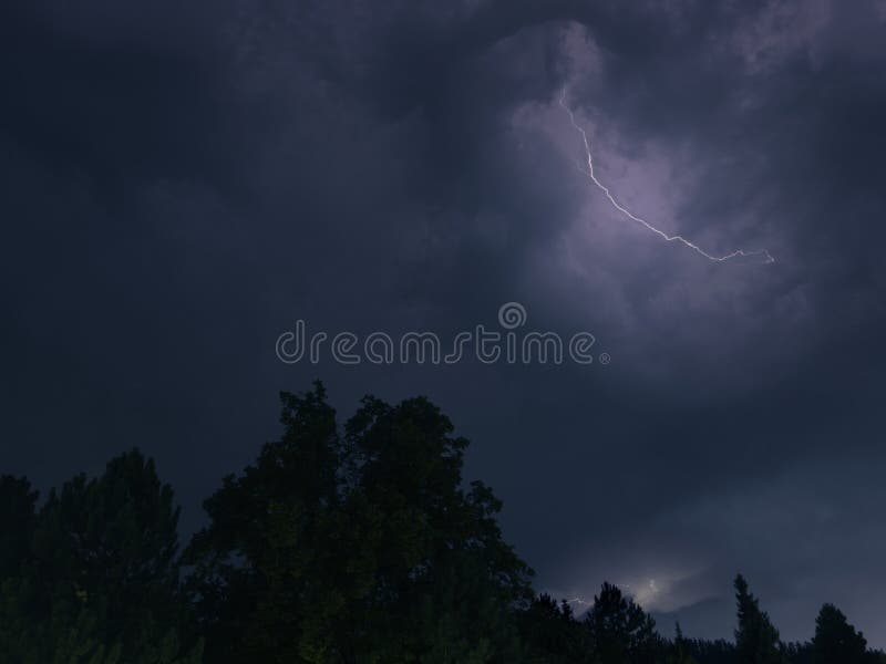 Lightning Storm in the Night Forest. Stock Photo - Image of danger ...