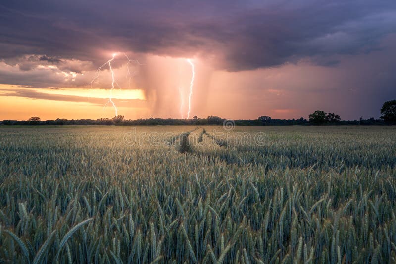 Lightning Strike in a Downburst during a Summer Thunderstorm at Sunset ...
