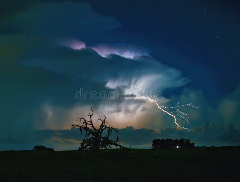 Lightning Strike with Old Dead Oak Tree in Foreground Stock Image ...