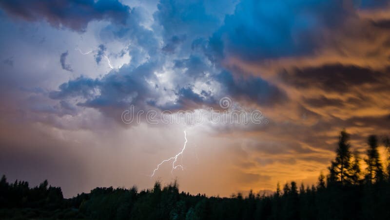 Forest Lightning stock photo. Image of lightning, static - 43243476
