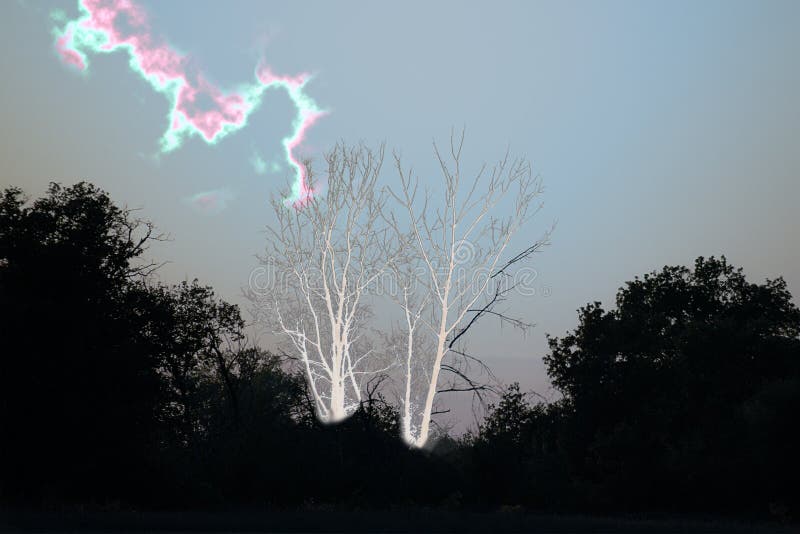 Lightning Strikes into the Tree in Desert during the Severe Rain and ...