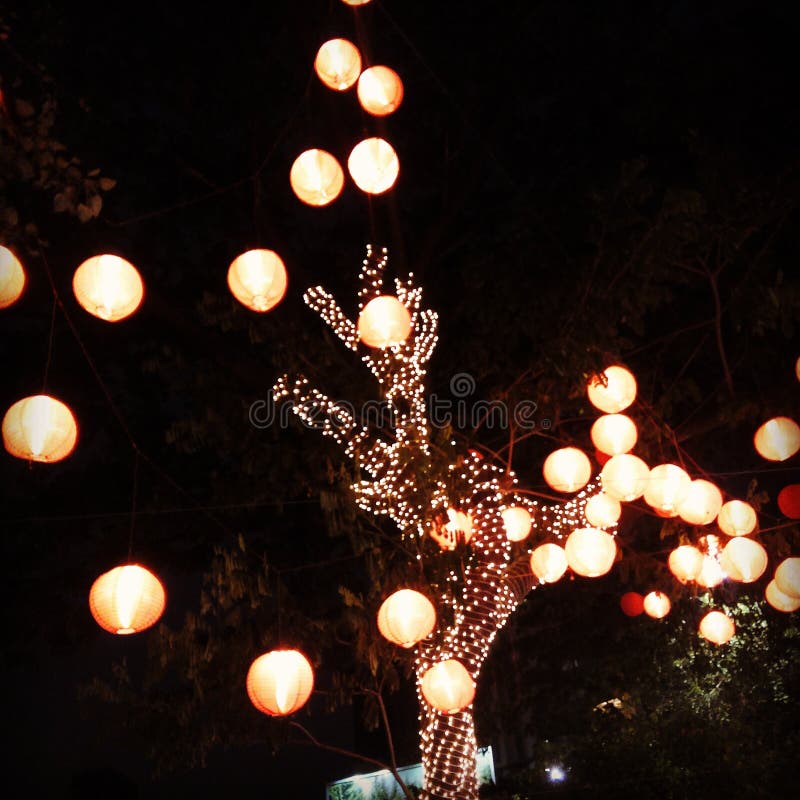 Lightning tree stock image. Image of celebration, festival - 79643009