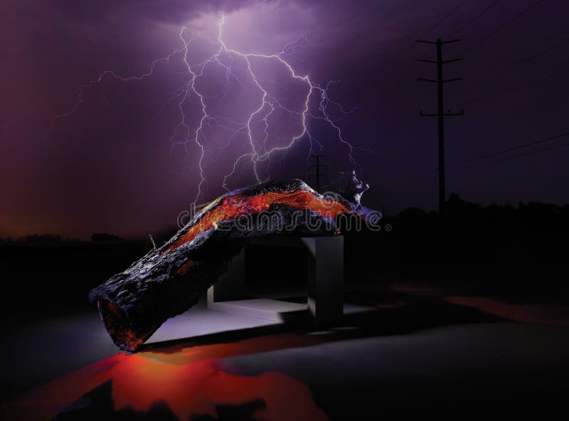 Lightning on tree stock image. Image of plants, outdoors - 32050567