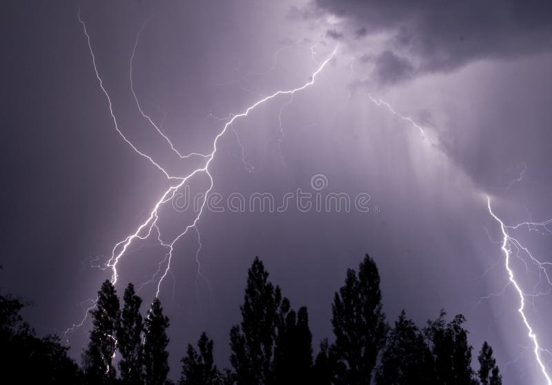 Lightning and Trees stock image. Image of forest, silhouetted - 5381221