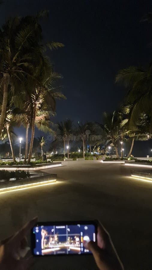 Lights Night palm sky stock image. Image of sunlight - 235476029