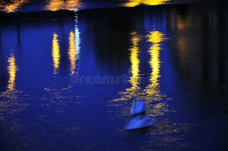 Lights reflecting in water stock image. Image of light - 5557447