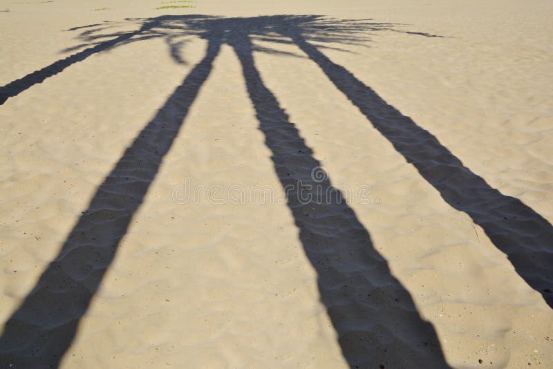 Lights and Shadows on the Beach Stock Image - Image of places, patacona ...