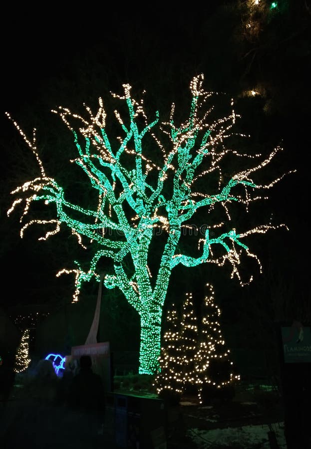 Lights on a Tree Green at Night Stock Photo - Image of object, twig ...