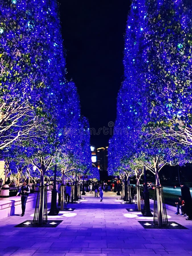 Macau night views editorial stock image. Image of macau - 107307079