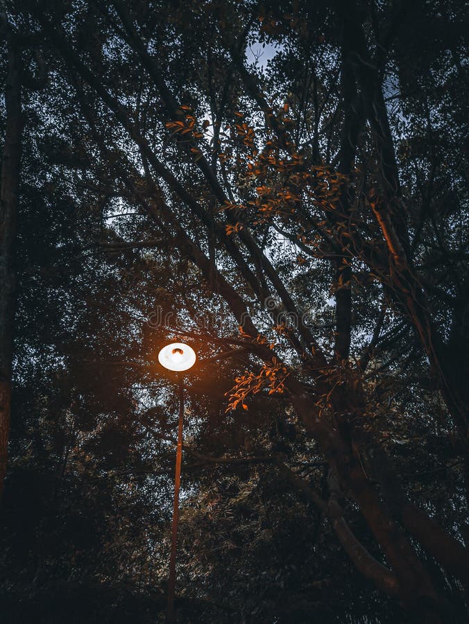 The Lights Under the Old Bridge Construction Stock Image - Image of ...