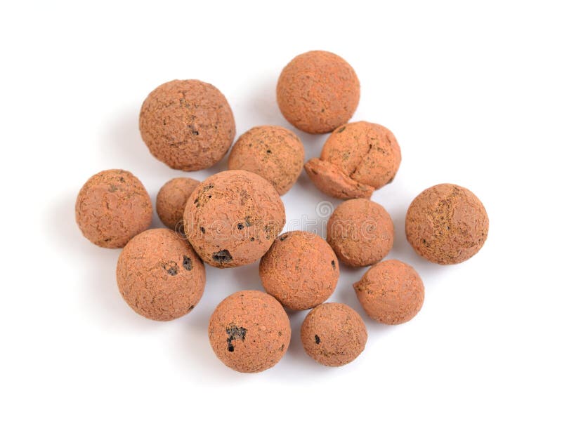 Expanded Lightweight Clay Pebbles in Glass Bowl Stock Image - Image of ...